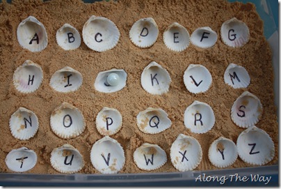 Along the Way: Alphabet Sea Shells